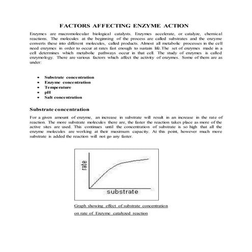 Factors affecting enzymes | PDF