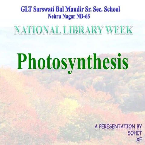 8th Grade Science: Photosynthesis Slides | PDF