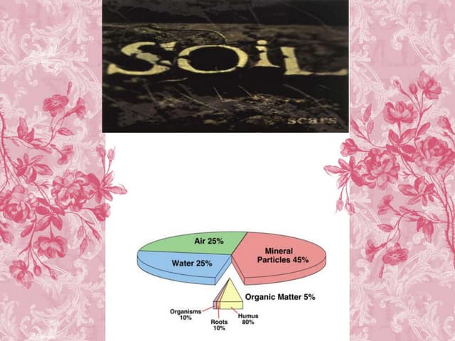 Soil | PPTX