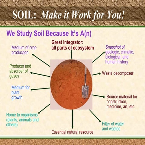Soil | PPT