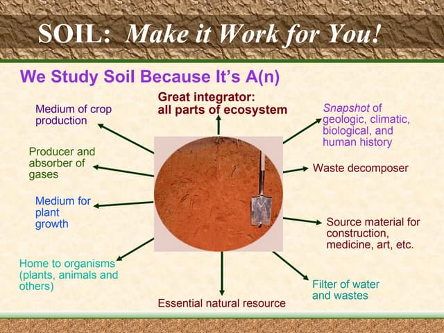 Soil structures | PPTX