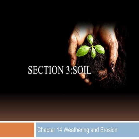 Soil | PPTX