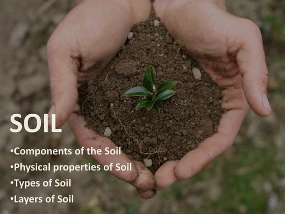 Soil composition | PPT