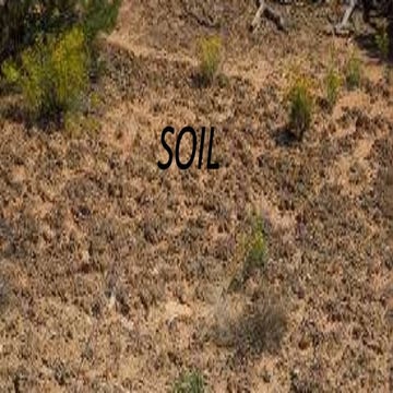 Soil | PPTX