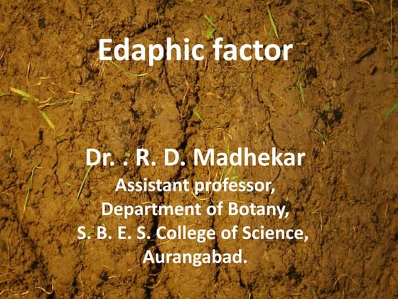 Edaphic factors- soil profile, structure, porosity, soil moisture, soil air. soil organisms | PPTX