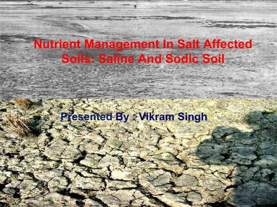 Saline And Sodic Soils | PPT