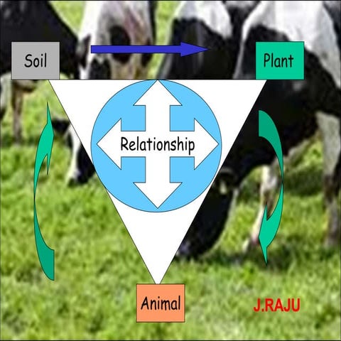 Soil plant-animal relationship | PPT