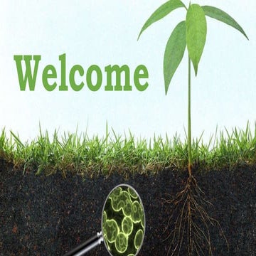 Soil Plant-Microbe Interactions in Rhizosphere | PPTX