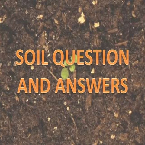 Soil Question And Answers | PPTX