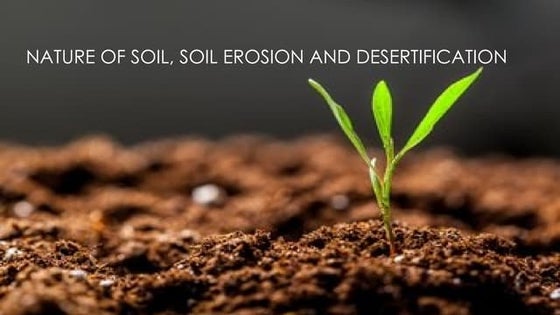 Ch 9 Soil | PPT