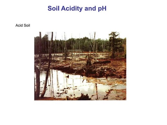 Soil pH - Factors affecting soil pH - Soil pH and nutrient availability ...