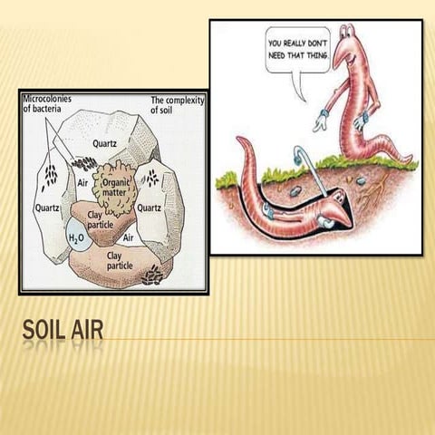 Soil air | PPTX
