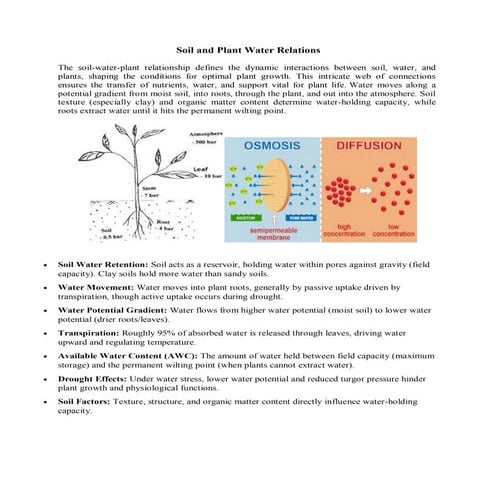 Soil -water -plant relationship | PPTX