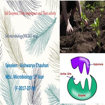 SOIL ENZYMES AND THEIR ACTIVITY | PPTX
