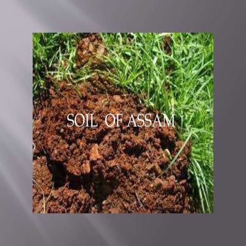 soil_assam.pptx