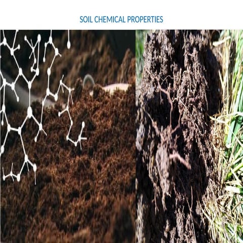 Soil Colloids: Properties, Nature, Types and Significance. sources of ...