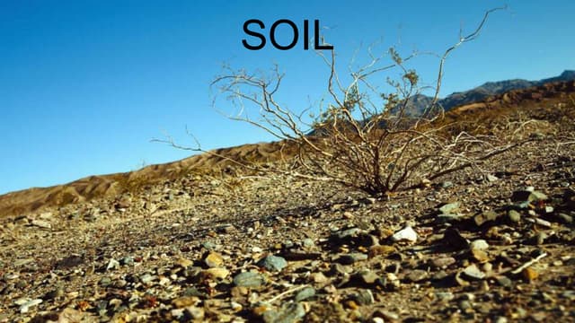 Cbse :Grade 5 ROCKS AND MINERALS | PPTX