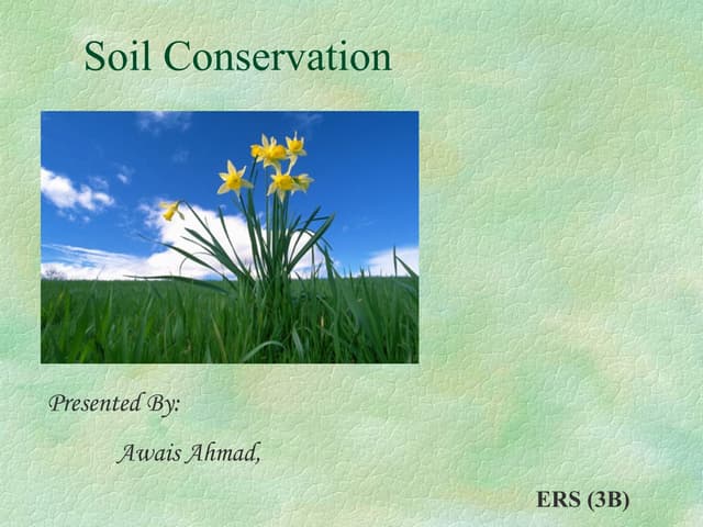 Soil ppt | PPTX