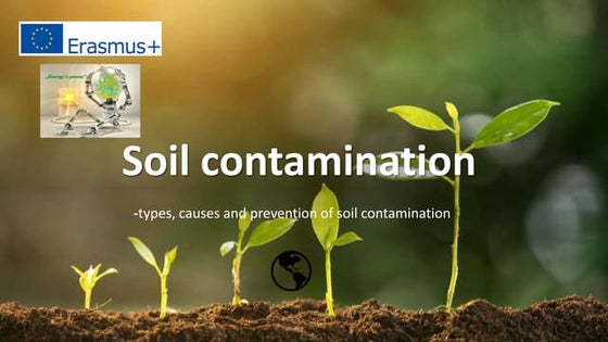 Soil contamination group 1 | PPTX