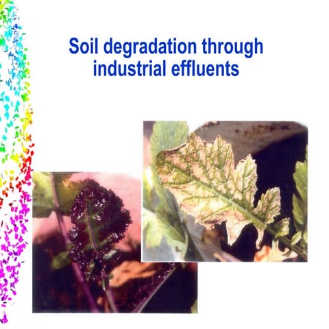 Soil degradation through industrial effluents | PPT