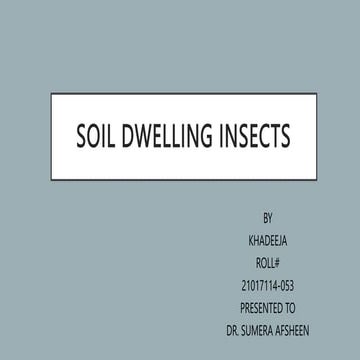 soil DWELLING INSECTS.pptx