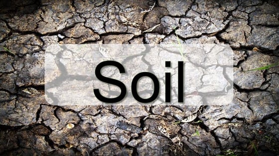 Types and Kinds of Soil Lesson for Grade 2.pptx | Geology | Science