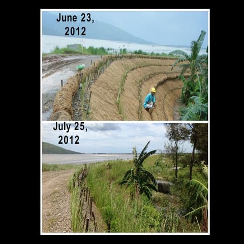 Soil Erosion Control and Land Rehabilitation | PPT