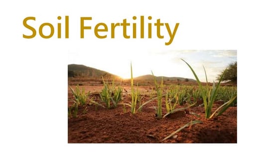 Soil fertility | PPTX | Agriculture | Industries