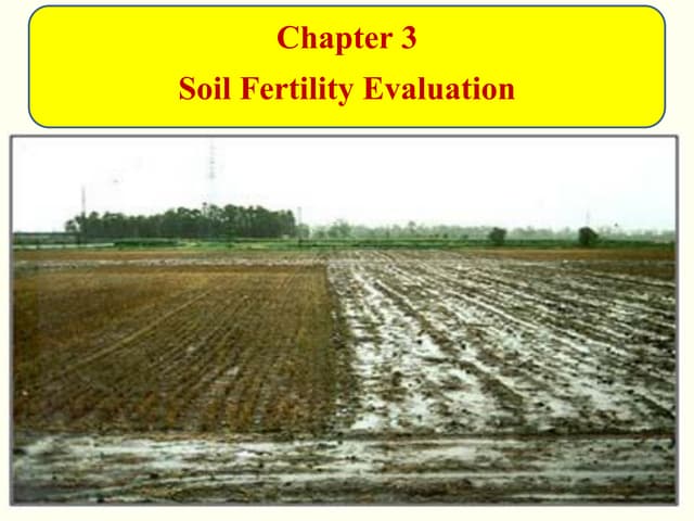 Soil Fertility Evaluation.pptx