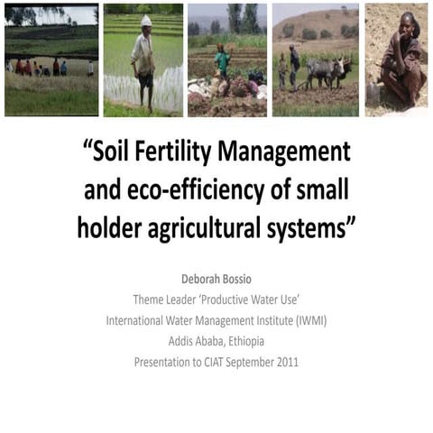 Soil Fertility Management and eco-efficiency of small holder ...