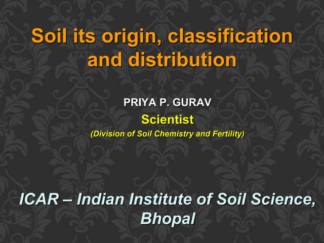 The Process of Soil Formation | PPTX