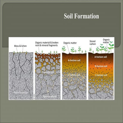 Soil Formation.ppt
