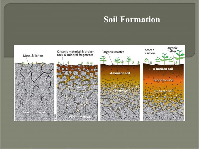 Weathering and Soil Formation Class 7 | PPTX
