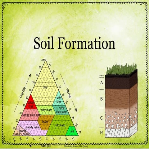 Comprehensive Overview of Soil Formation, Composition, and Conservation ...
