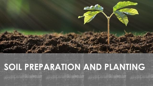 PLANTING SYSTEM OF LAYOUT ORCHARD pptx | PPTX