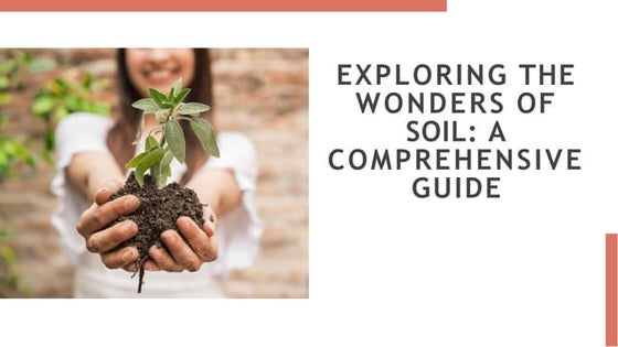 Introduction to soil and the soil science | PPT