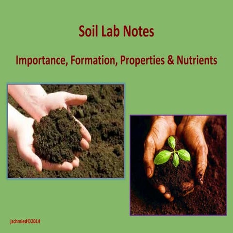 Soil lab guiding questions | PPTX