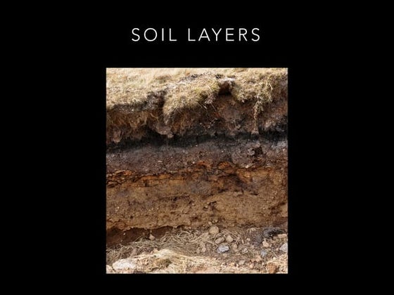 Layers of soil | PPTX