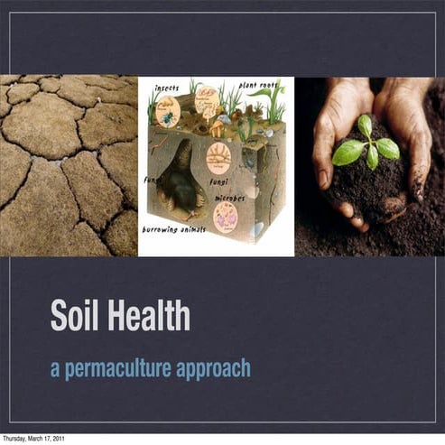 Soil Health: A Permaculture Approach | PDF