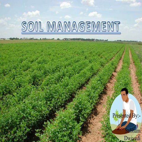 Soil management | PPTX