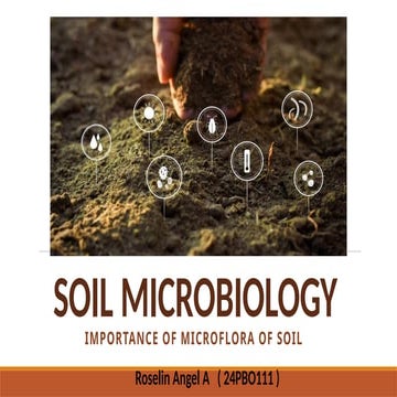 Soil Organisms, functions and their role in Soil fertility | PPTX