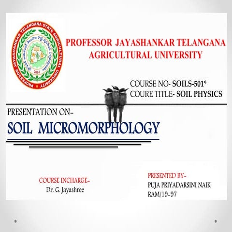 Soil micromorphology | PPTX