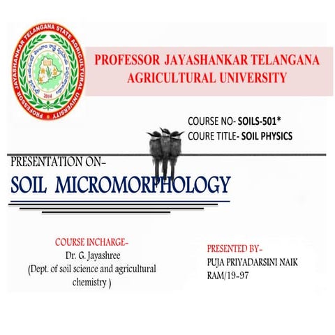Soil micromorphology | PPTX
