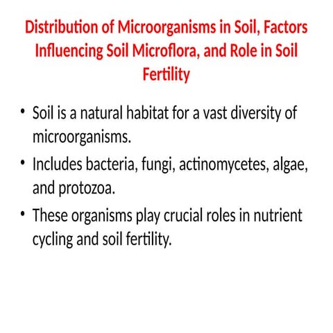 Soil_Microorganisms_Presentation.pptxppt | PPTX