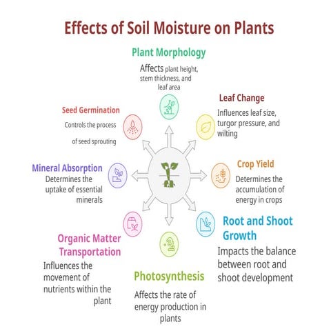 soil moisture and plant relations soup soil soil soil soil soil soil ...
