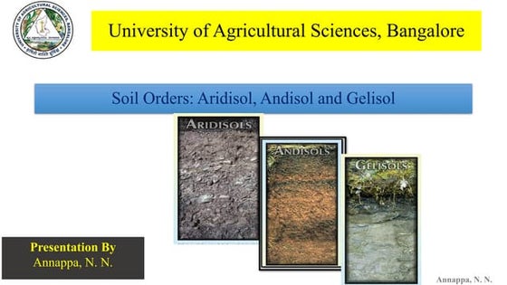 Black Soils in Brazil - Ademir Fontana | PDF