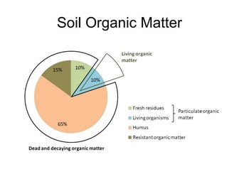 Soil Fertility, Biology and Organic Matter.pptx