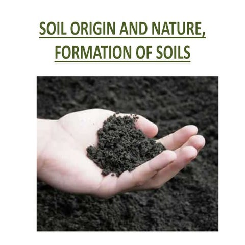 Soil parent material | DOCX