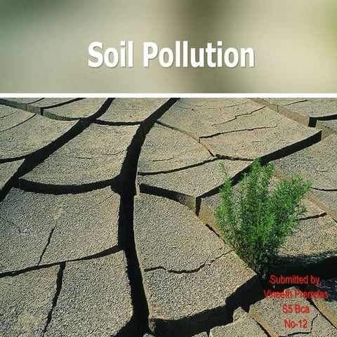 Soil pollution | PPTX