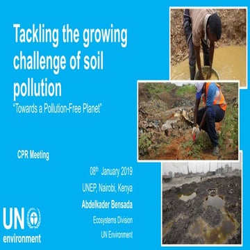 Soil pollution -Progress for CPR meeting January 2019 (002) (1).pptx